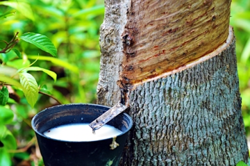 How to Paint Rubber - Paints that Adhere to Rubber